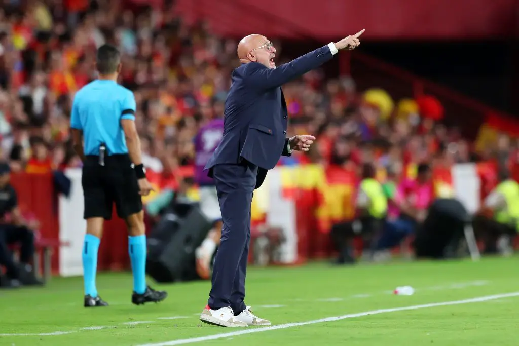 Spain head coach Luis de la Fuente: "My friends tell me I have no life ...
